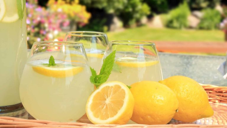 Sun Orchard | Who We Are