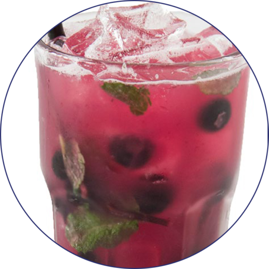 Blueberry & Lemon Mint Soda